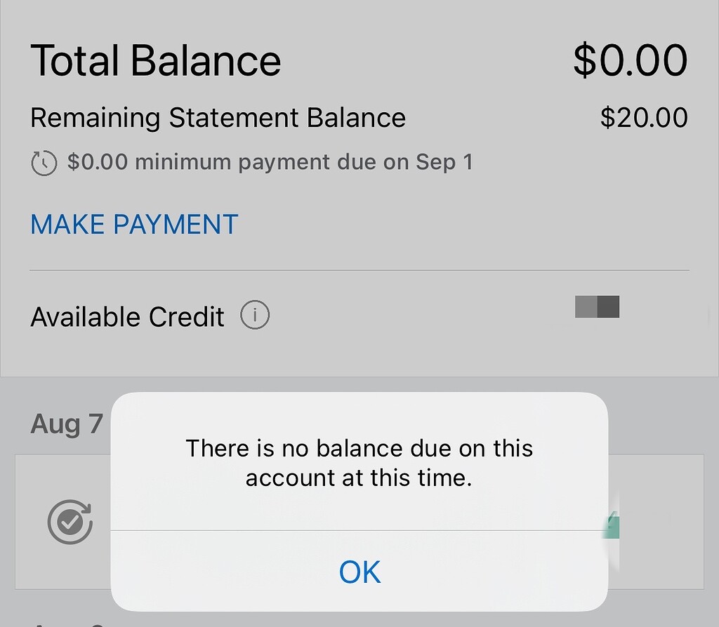 Amex卡Remaining Statement Balance大于Total Balance - 信用卡 - 美卡论坛