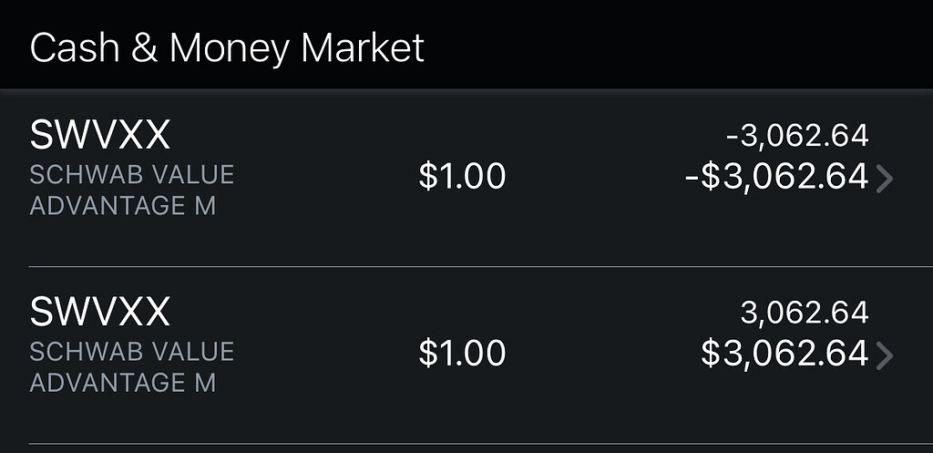 Schwab duplicate positions - 股市投资 - 美卡论坛