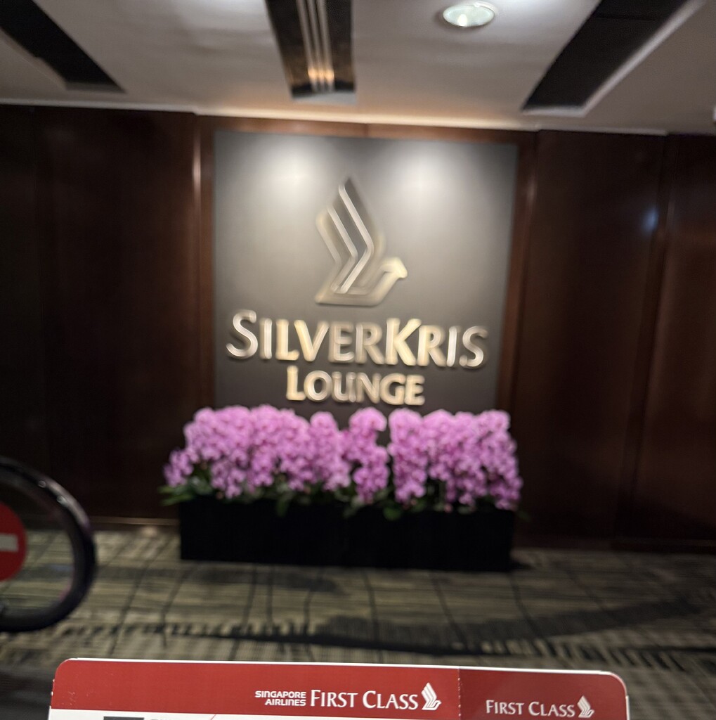 新航SQ802 头等舱/休息室体验贴 - 航空常旅客 - 美卡论坛