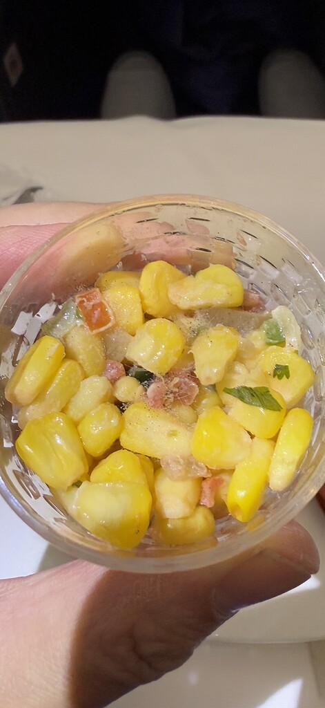 [ANA] YVR-HND第一道菜沙拉就长毛了(图片隐藏，放心进入) - 航空常旅客 - 美卡论坛