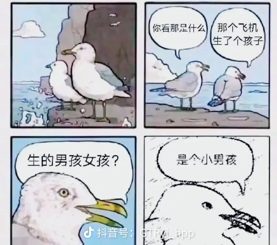 Phew, it's a girl - 社会新闻 - 美卡论坛